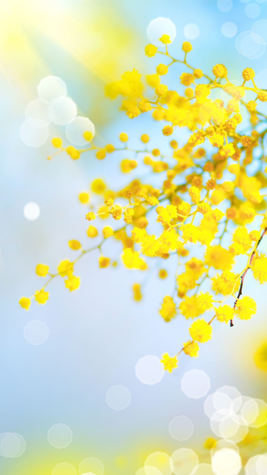 30+ Spring Wallpapers for iPhone – Best Spring Backgrounds [Free Download]