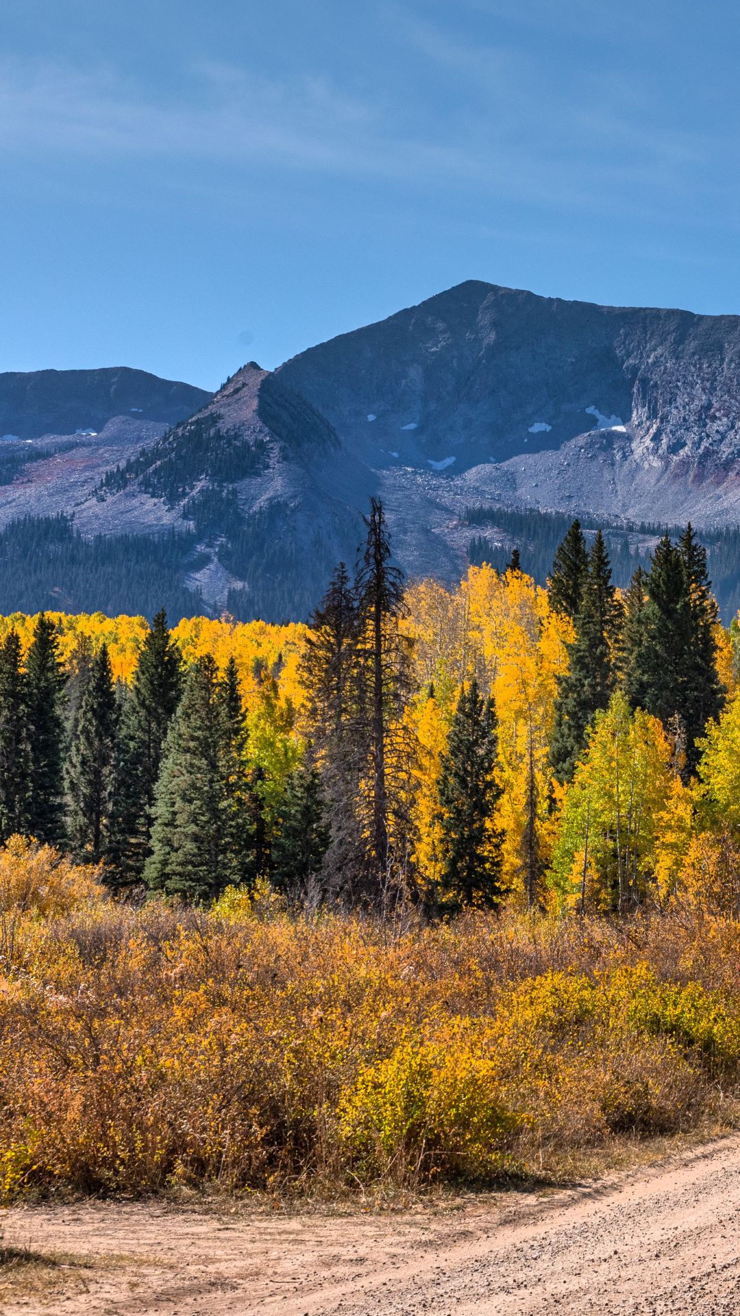 20+ Fall Wallpapers for iPhone