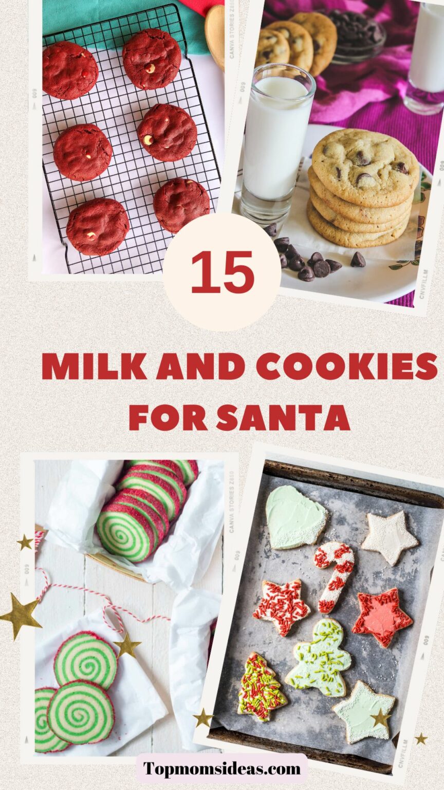 Milk and Cookies for Santa-15 Best Ideas of Christmas Tray for Santa