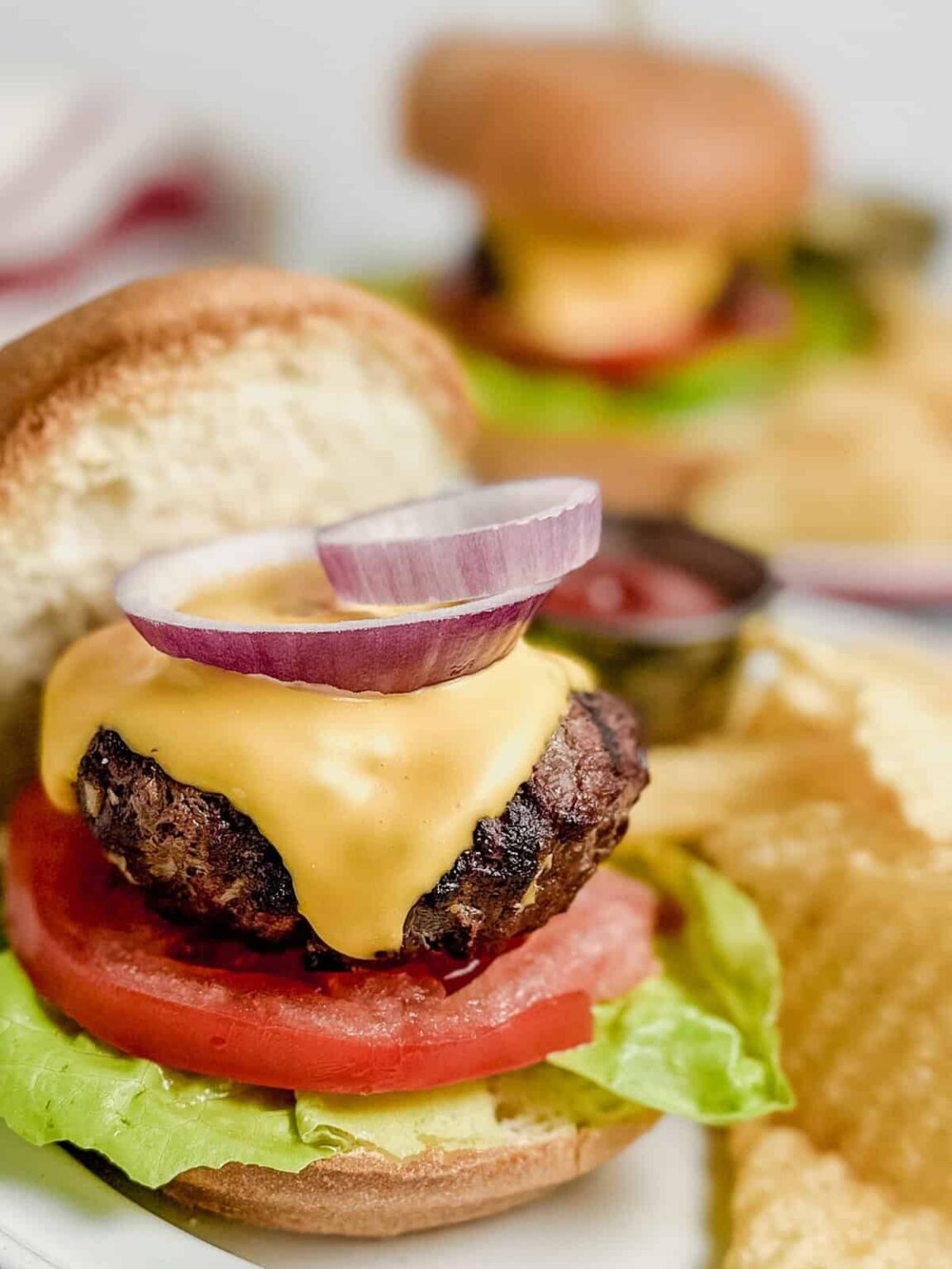 15 Best Burger Recipes
